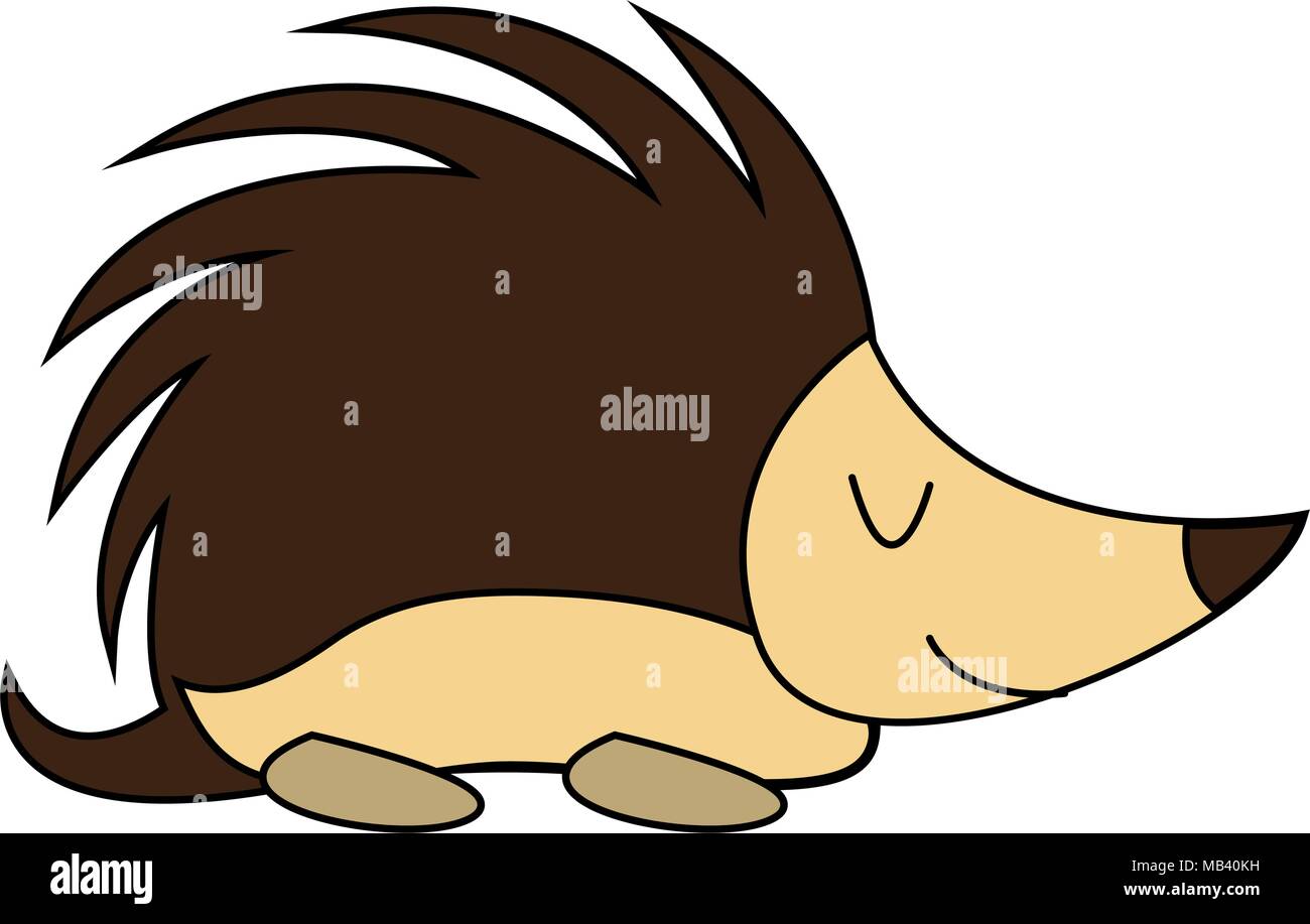 Illustration Porcupine High Resolution Stock Photography and Images - Alamy