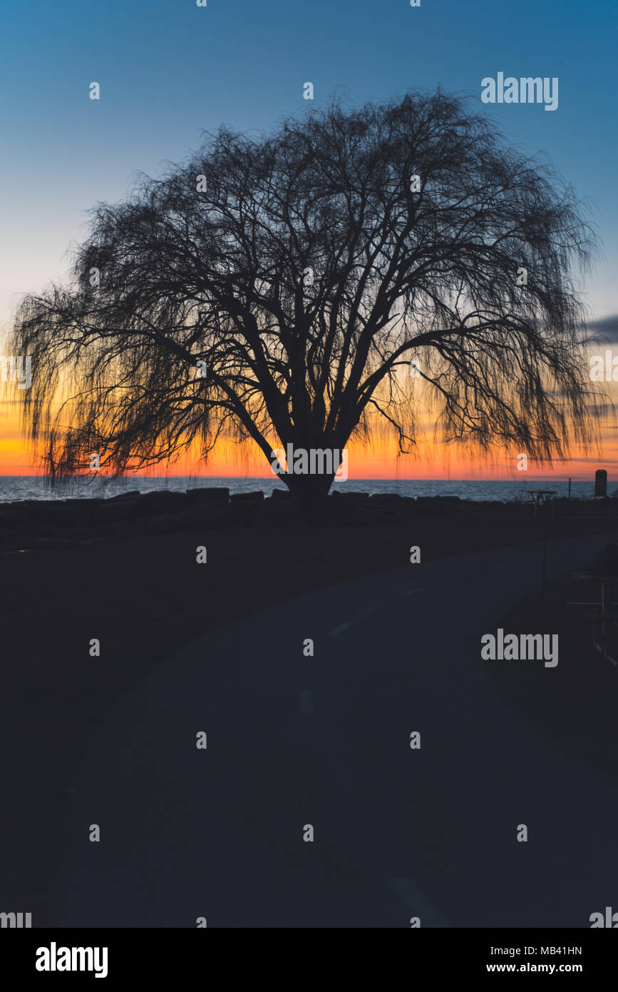 Edgewater Park Tree Cleveland Ohio Stock Photo - Alamy