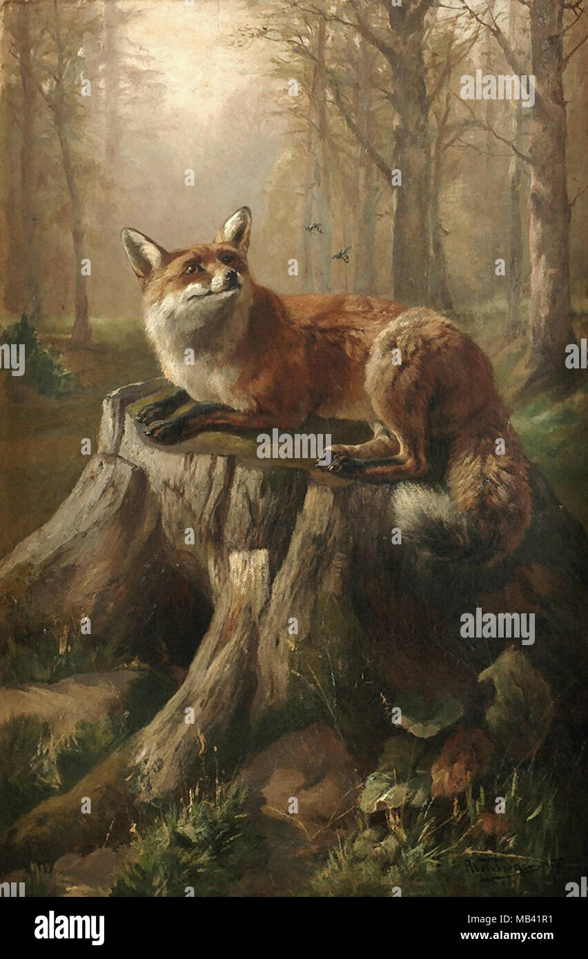 Weinberger Anton - Fox and Wasps 1 Stock Photo - Alamy