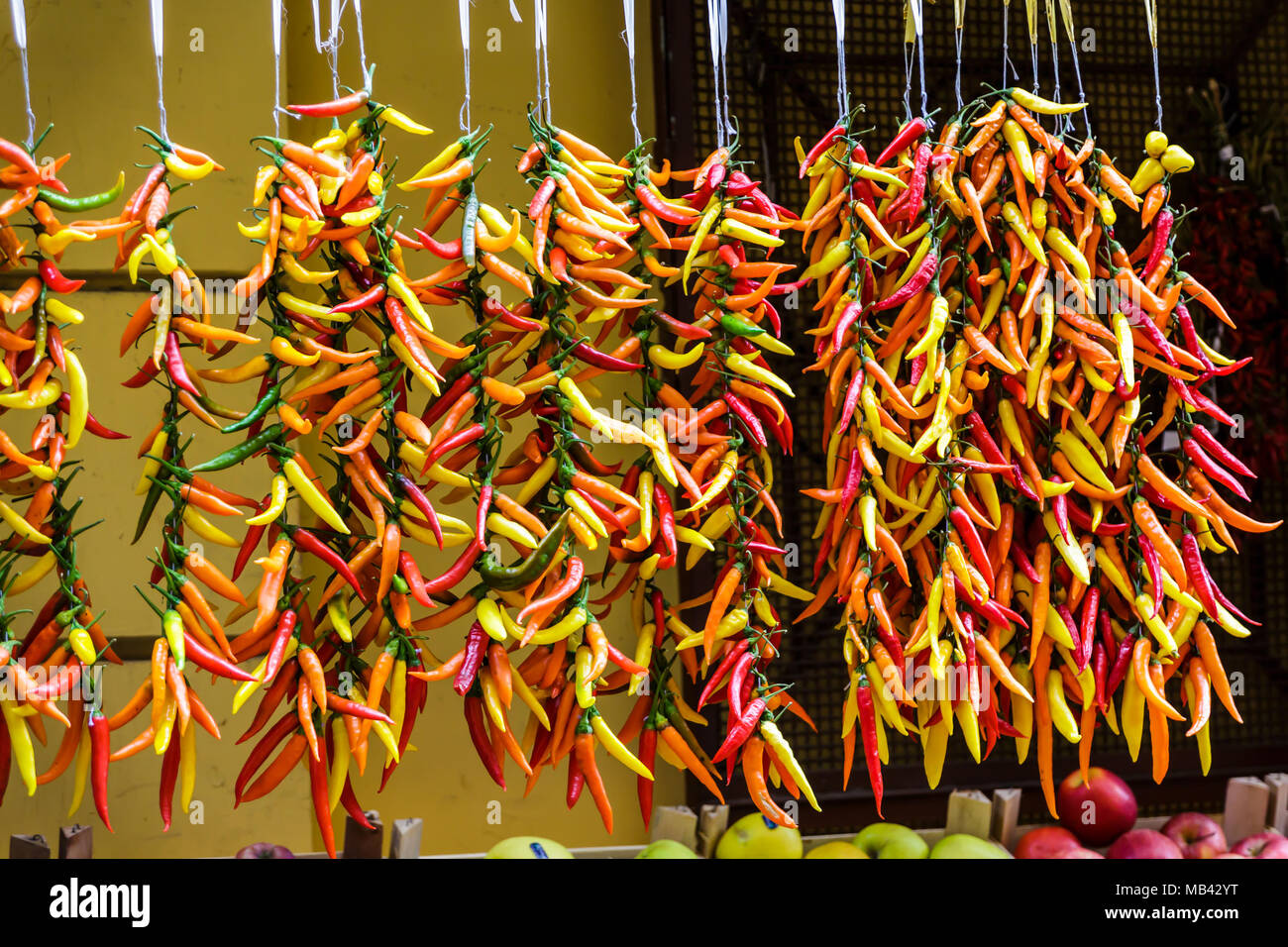 Chili strand hi-res stock photography and images - Alamy