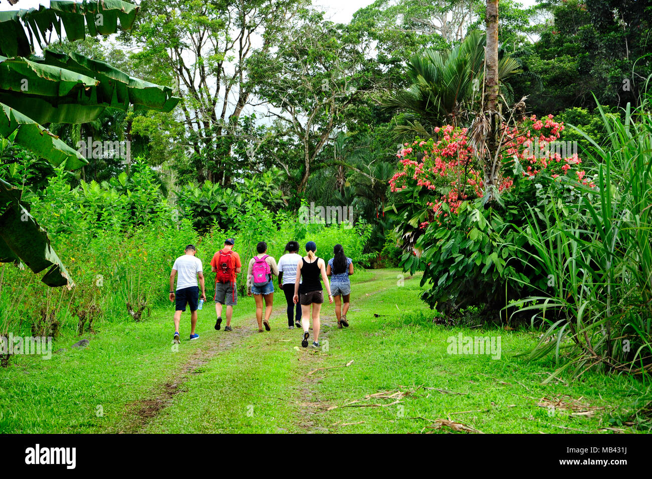 In the heart of the tropical lowlands of Costa Rica, EARTH University ...