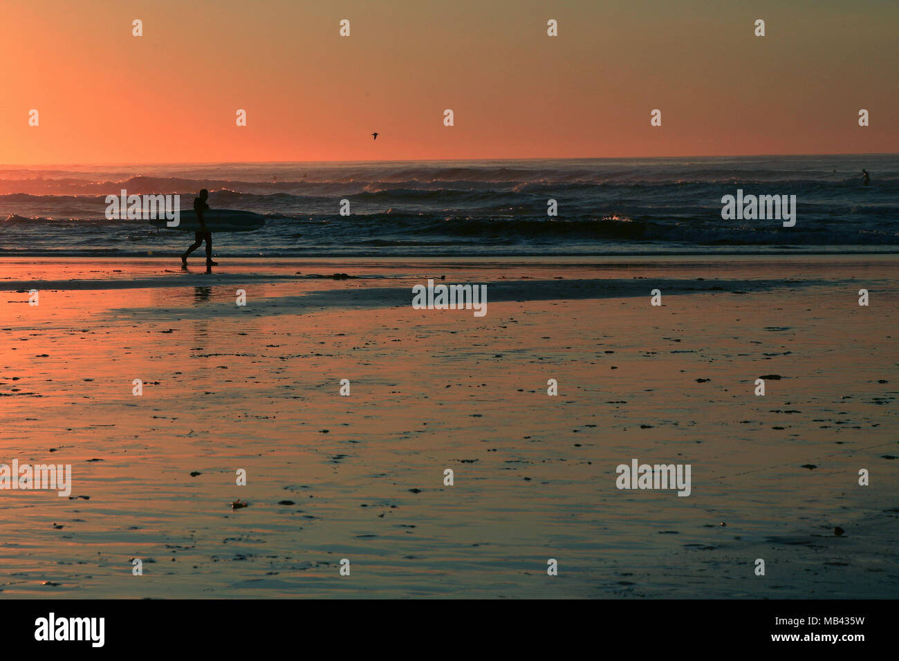 Monterey california asilomar beach hi-res stock photography and images ...