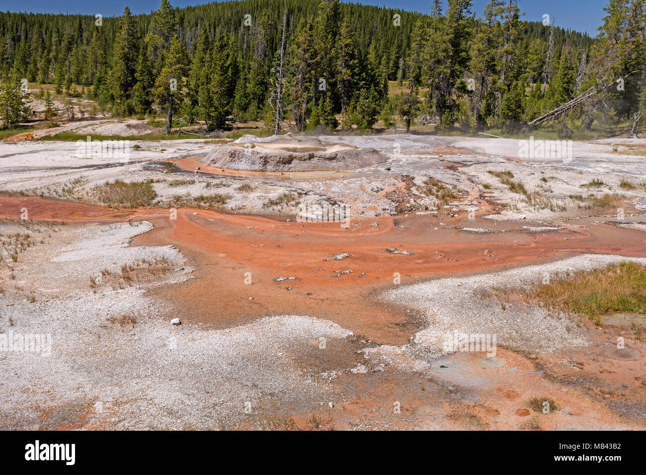 Shield geyser hi-res stock photography and images - Alamy