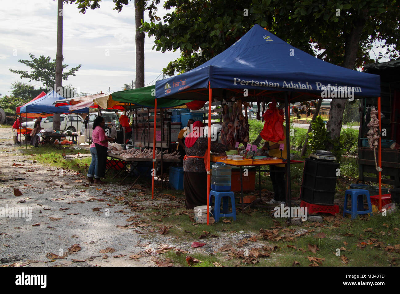 Vegetable trader at a rural market Stock Photo - Alamy