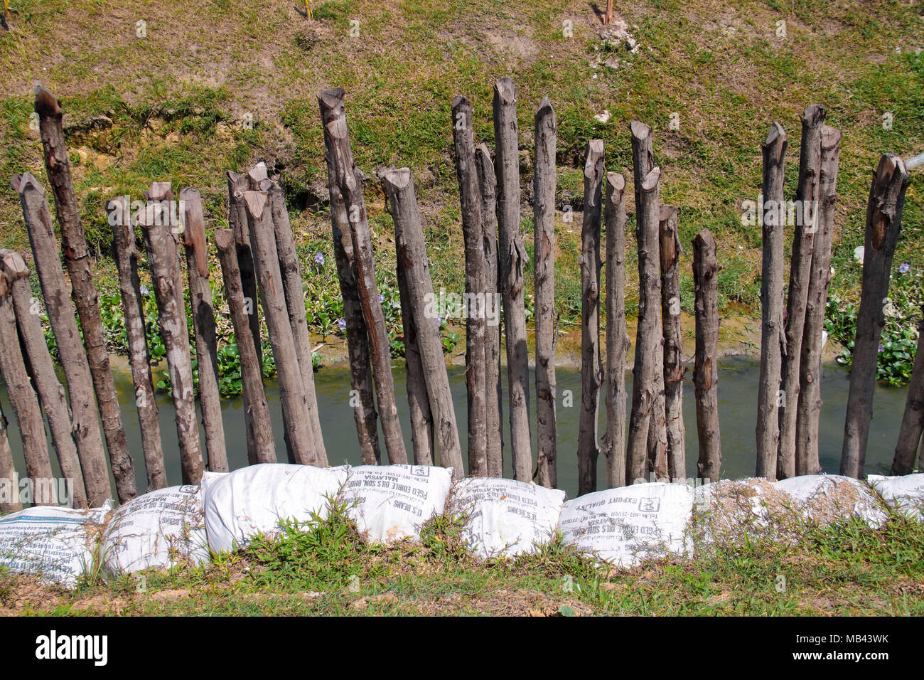 River bank wooden stick support Stock Photo - Alamy