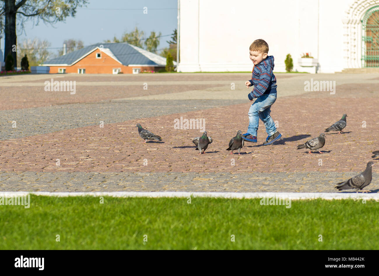 The boy runs after the pigeons in the park Stock Photo - Alamy