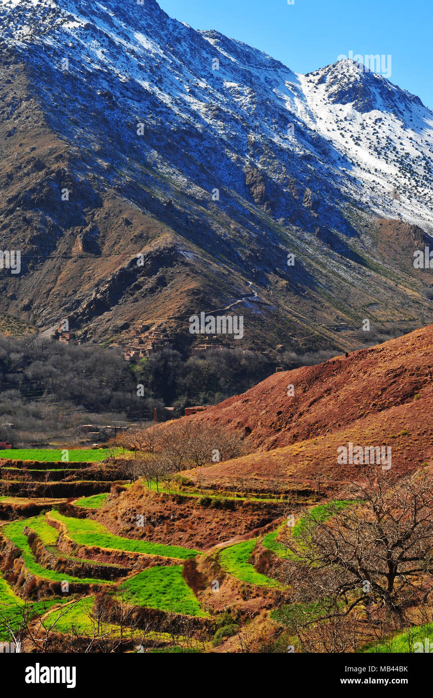 Terrace cropping hi-res stock photography and images - Alamy