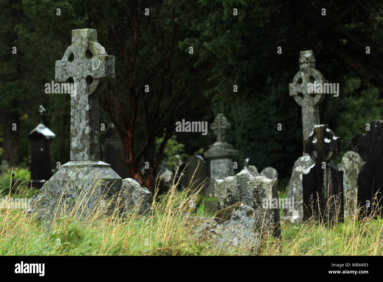 Monastery of the seven churches hi-res stock photography and images - Alamy