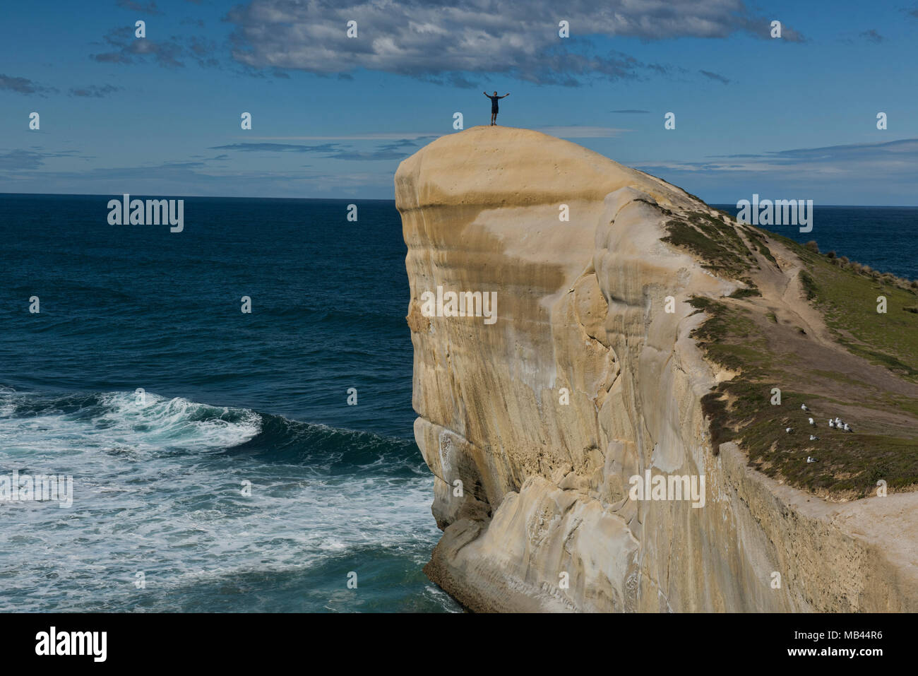 Sandstone cliff at Tunnel Beach, Dunedin, New Zealand Stock Photo - Alamy