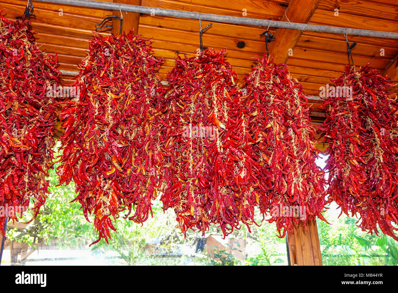 Bunches of hot chillies hanging up in restaurant, Marmaris, Mugla ...