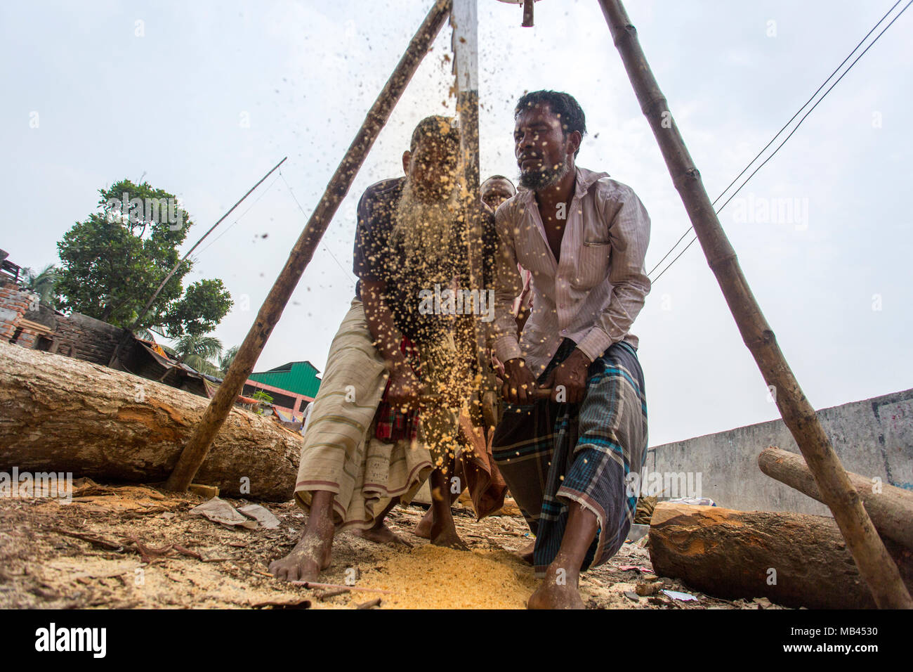 Swat valley tree hi-res stock photography and images - Alamy
