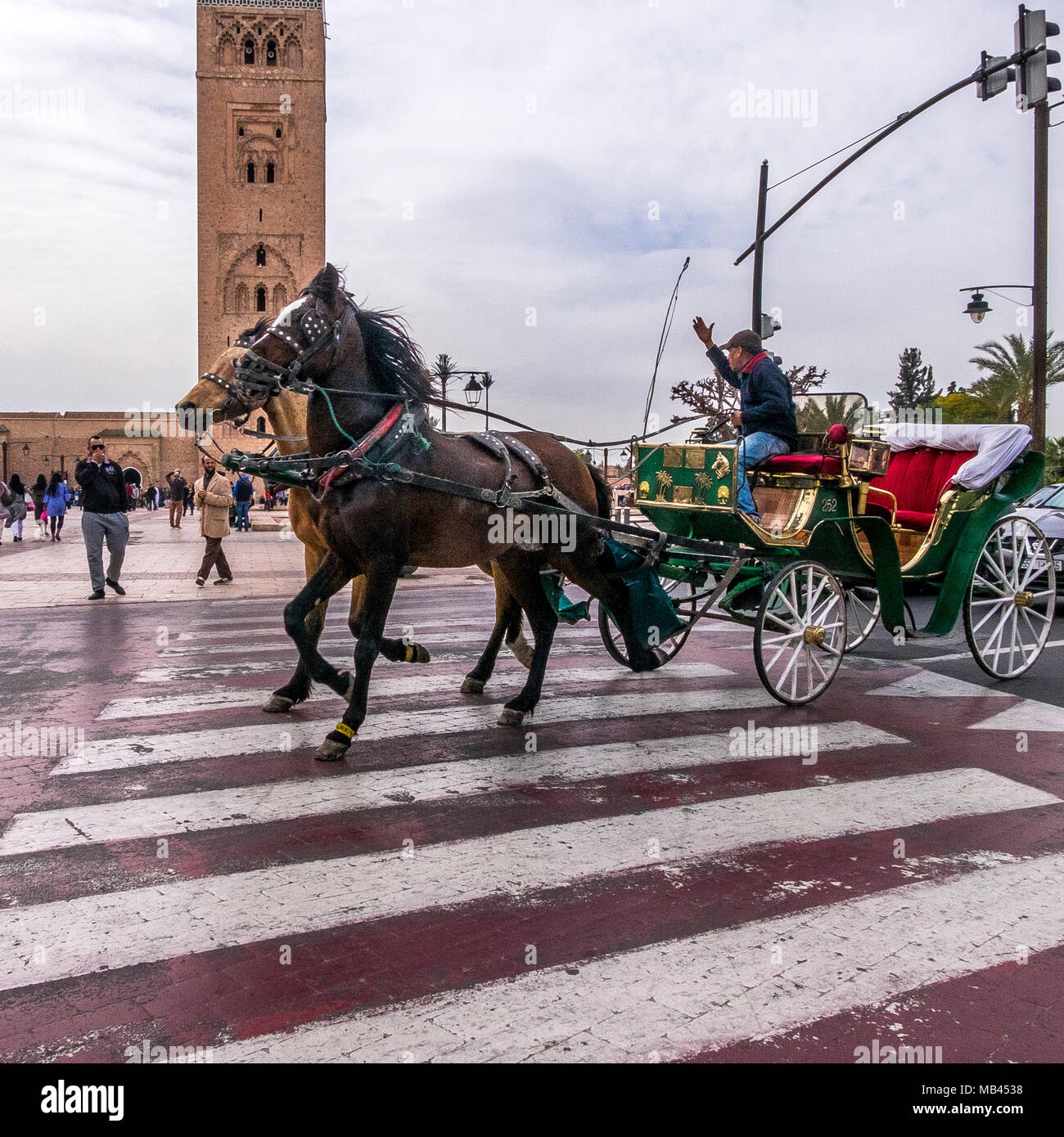 African cart horses hi-res stock photography and images - Alamy