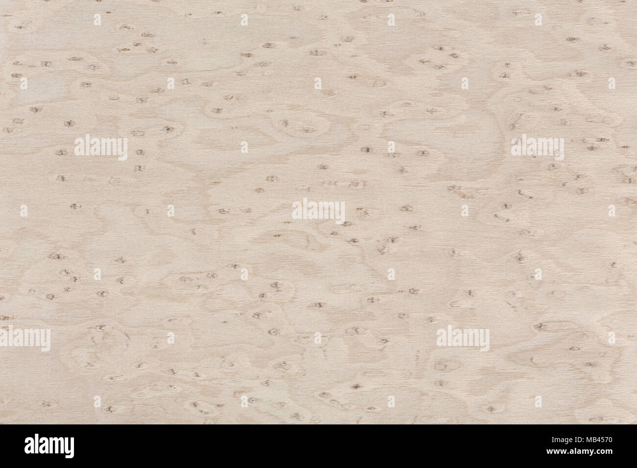 Maple wood design texture. Natural background closeup Stock Photo - Alamy