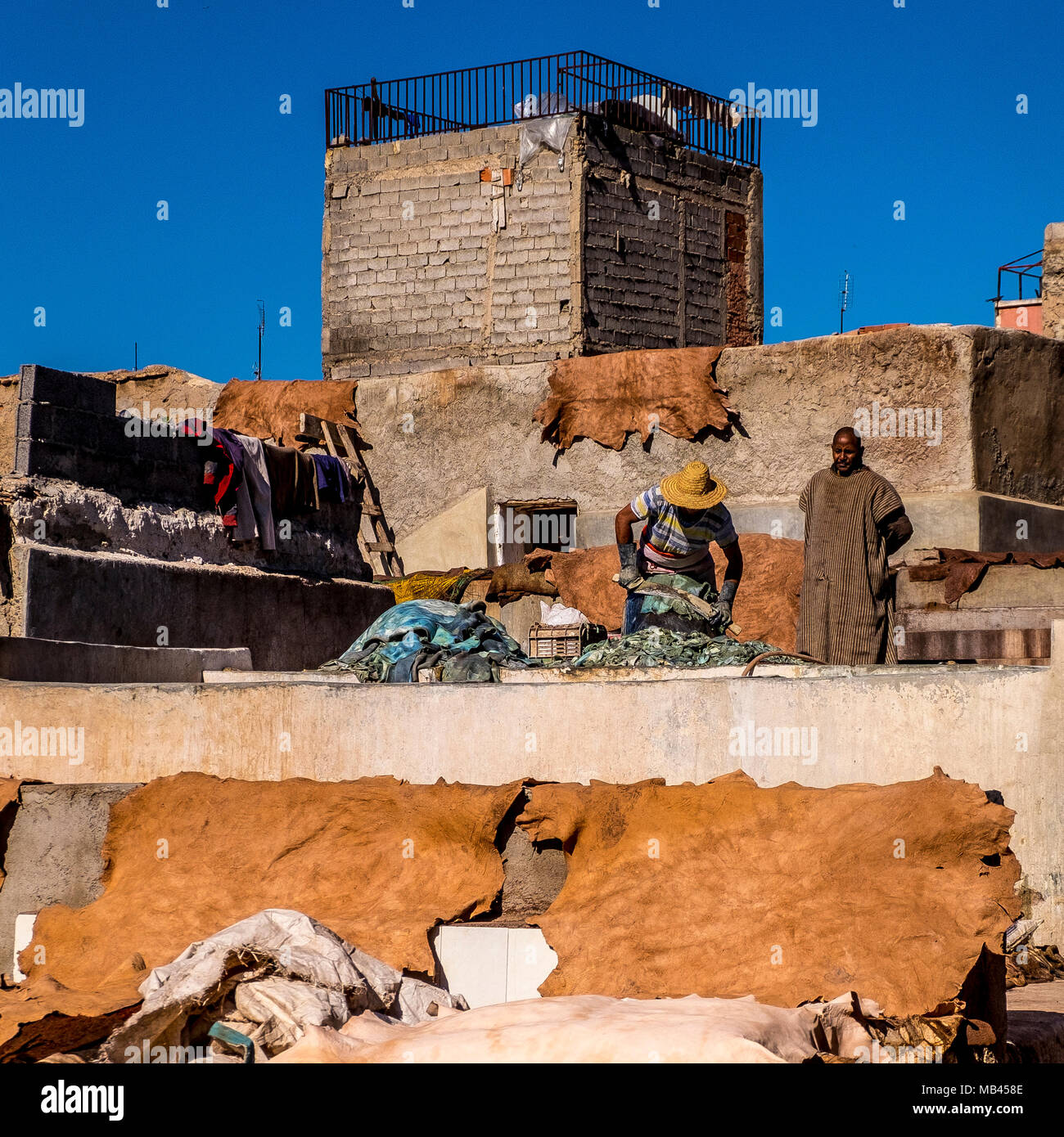 tanning yard in souks of marrakesh, morocco Stock Photo - Alamy