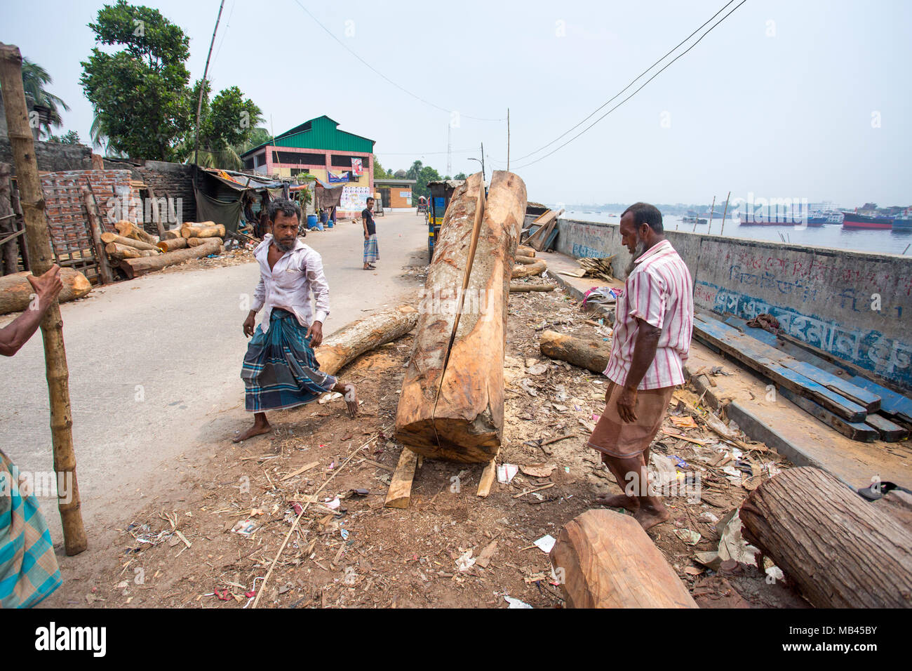 Swat valley tree hi-res stock photography and images - Alamy