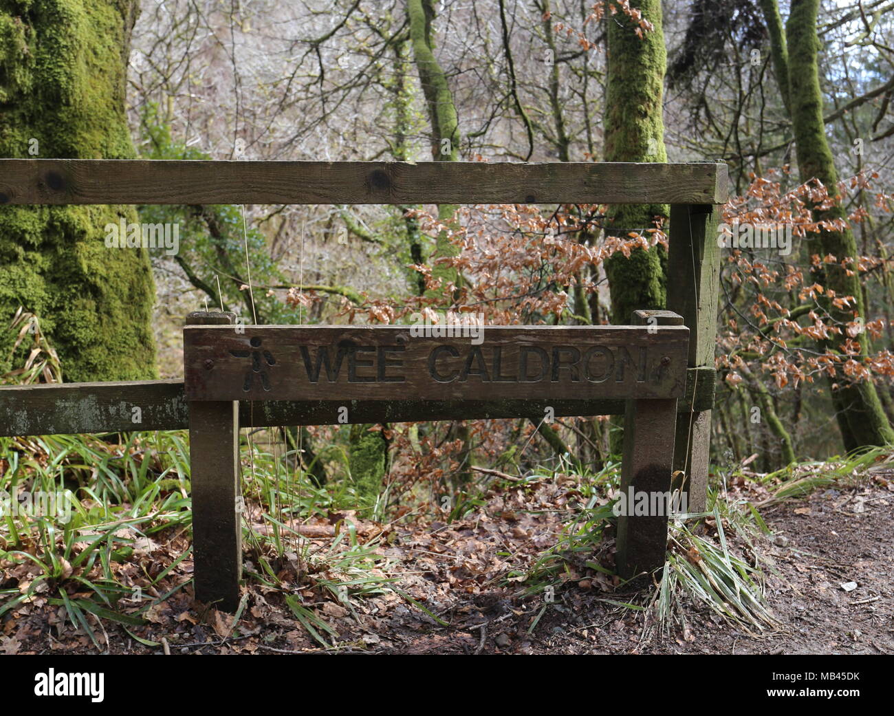 Wee caldron hi-res stock photography and images - Alamy