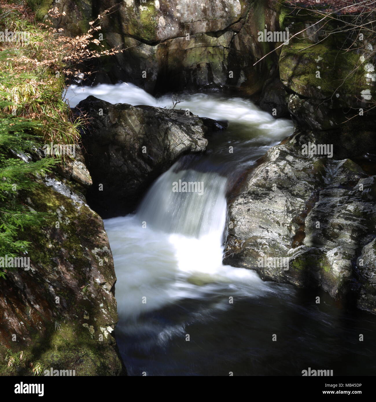 Wee caldron hi-res stock photography and images - Alamy