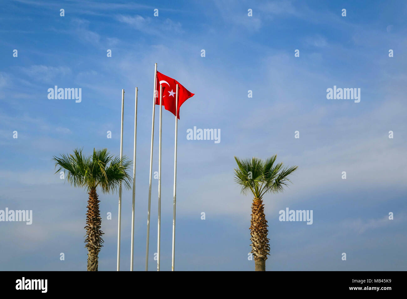 Turkish flag flying above two palm trees, Bodrum, Turkey Stock Photo ...
