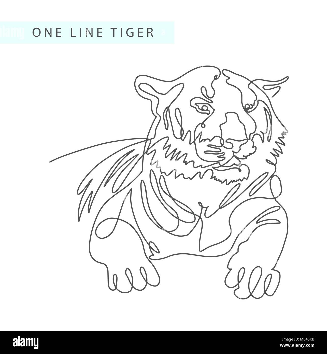 Tiger head line drawing hi-res stock photography and images - Alamy