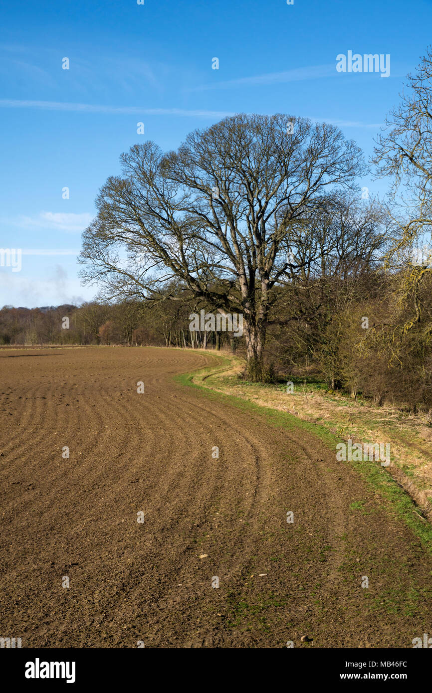 Farmland at West Tanfield, North Yorkshire Stock Photo - Alamy