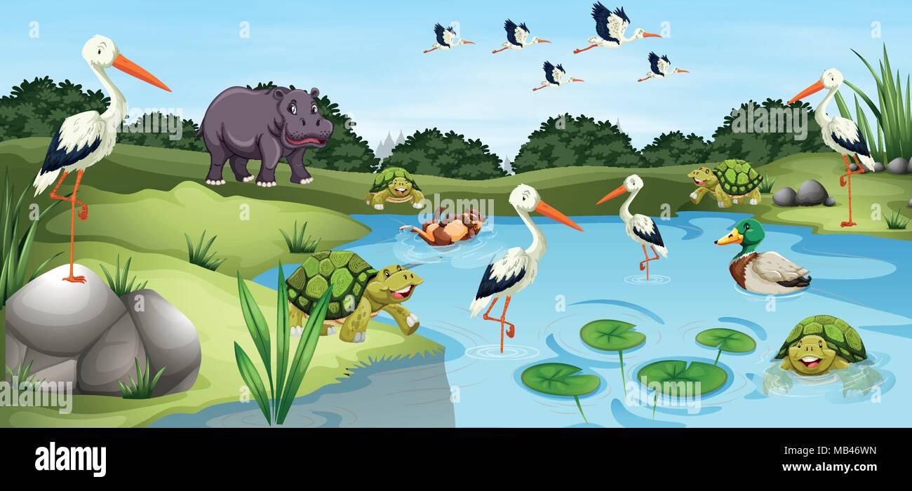 Many wild animals in the pond illustration Stock Vector Image & Art - Alamy