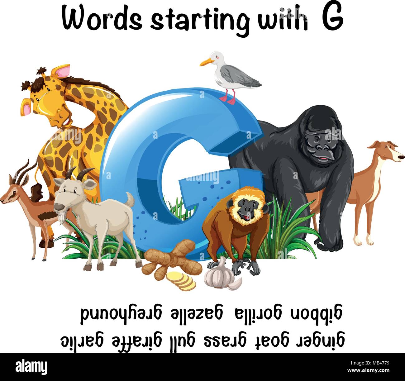 Words Strating with Letter G illustration Stock Vector Image & Art - Alamy