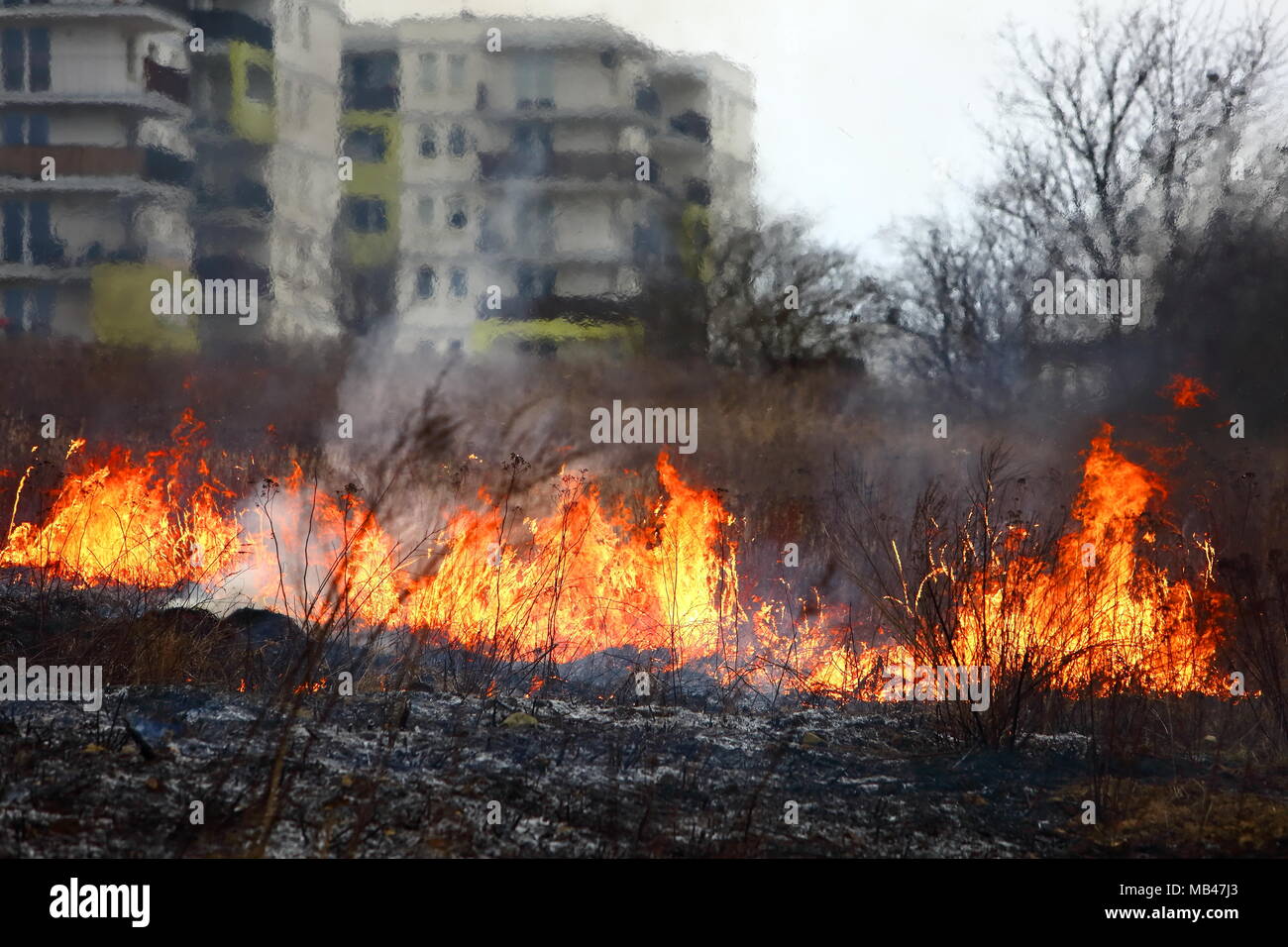 A fire of meadows near a large housing estate in Lublin Stock Photo - Alamy