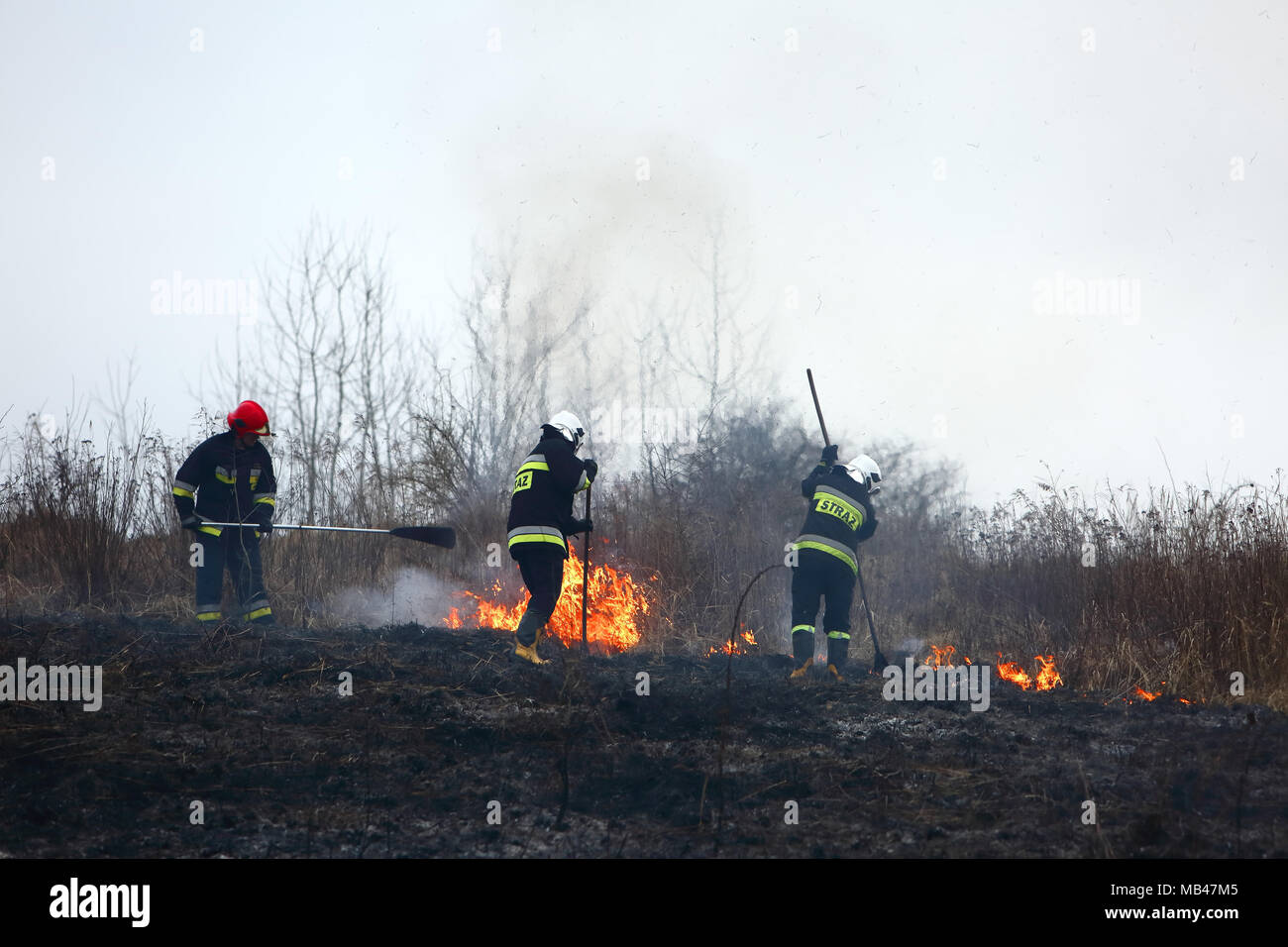 Guard during fire fighting on dry meadows Stock Photo - Alamy