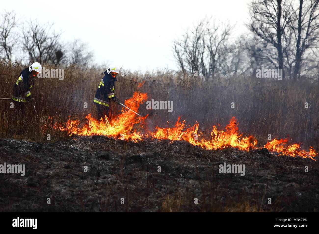 Guard during fire fighting on dry meadows Stock Photo - Alamy