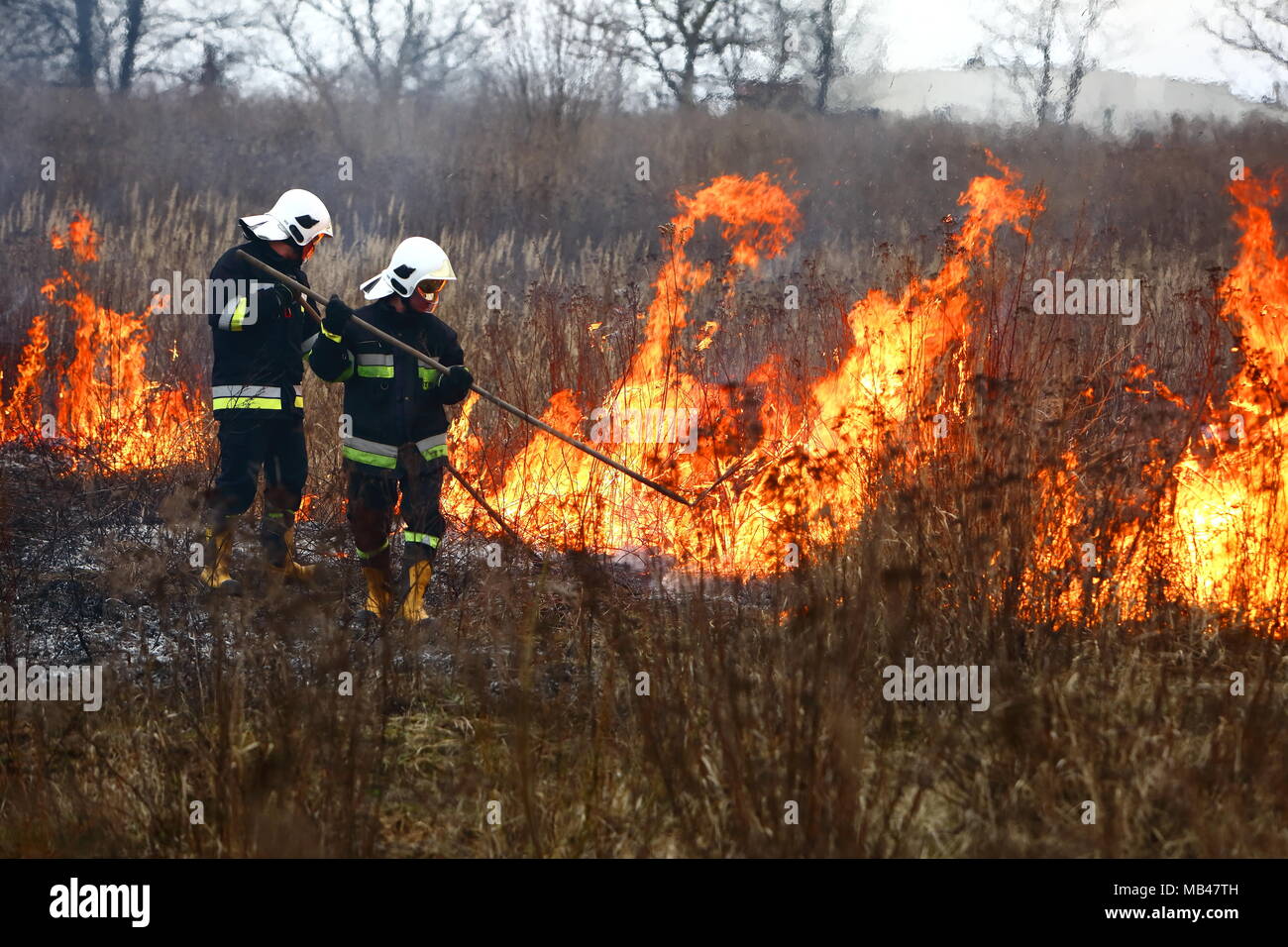 Guard during fire fighting on dry meadows Stock Photo - Alamy