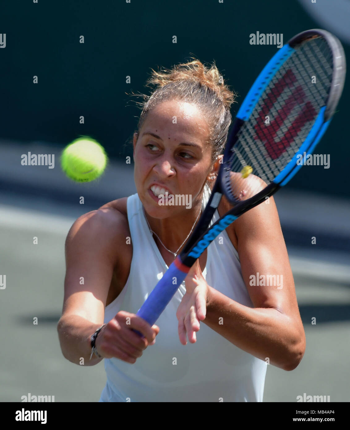 Bernarda pera hi-res stock photography and images - Alamy