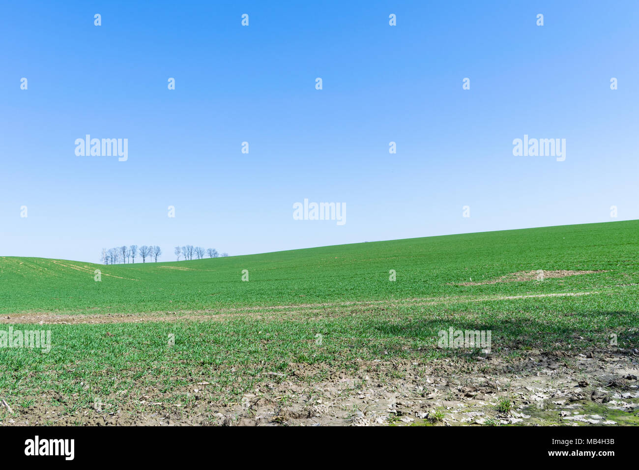 Poland weather hi-res stock photography and images - Alamy