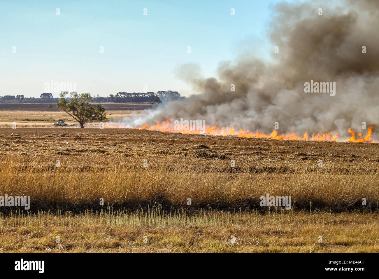 Recently the FFMVic (Forest Fire Management Victoria) together with the ...