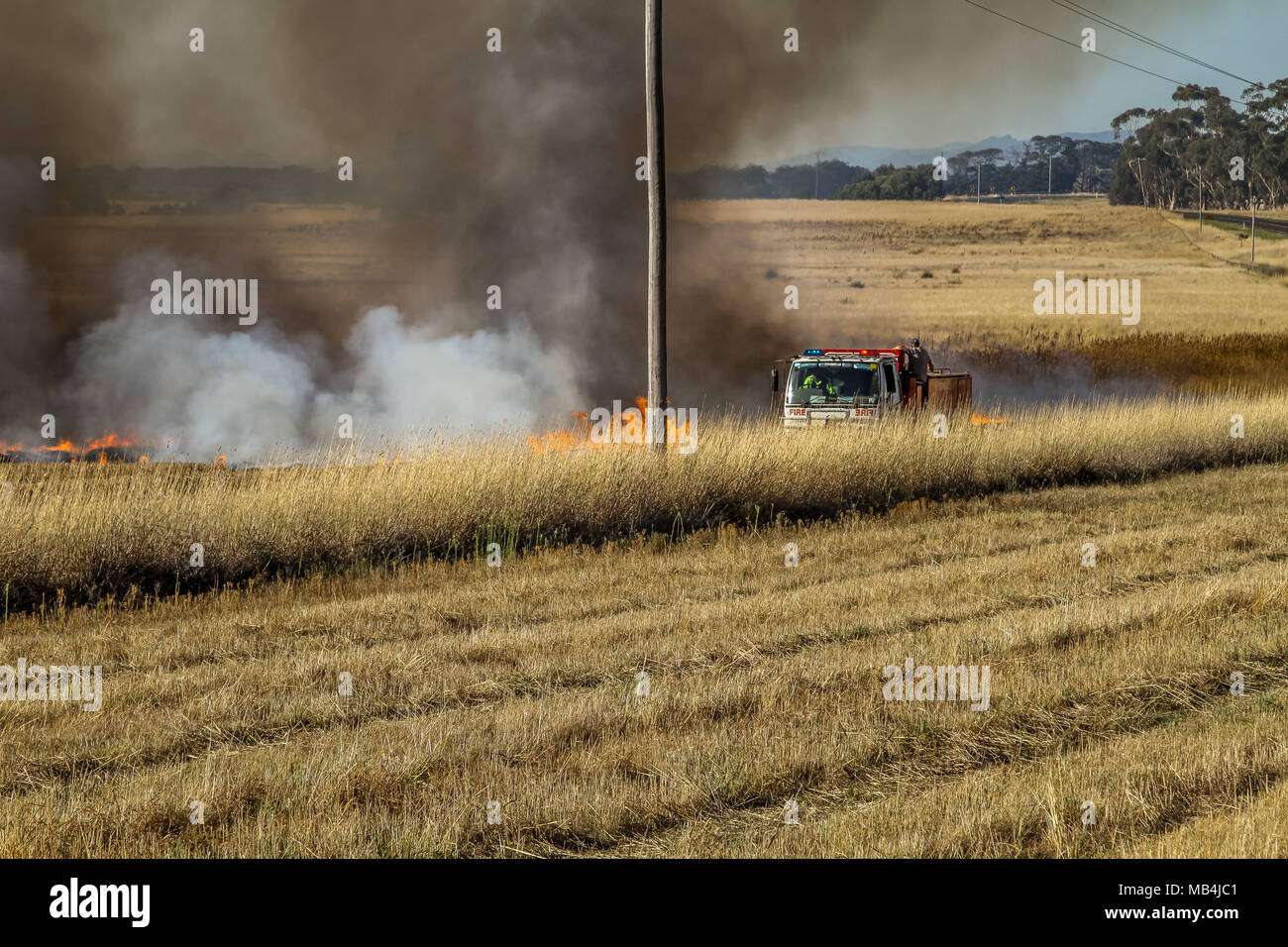 Recently the FFMVic (Forest Fire Management Victoria) together with the ...