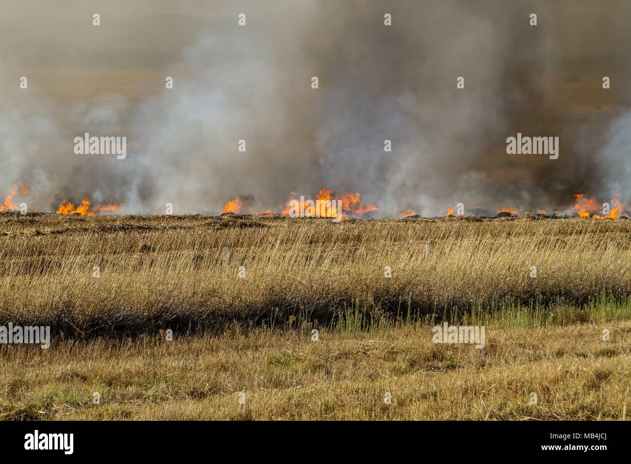Recently the FFMVic (Forest Fire Management Victoria) together with the ...