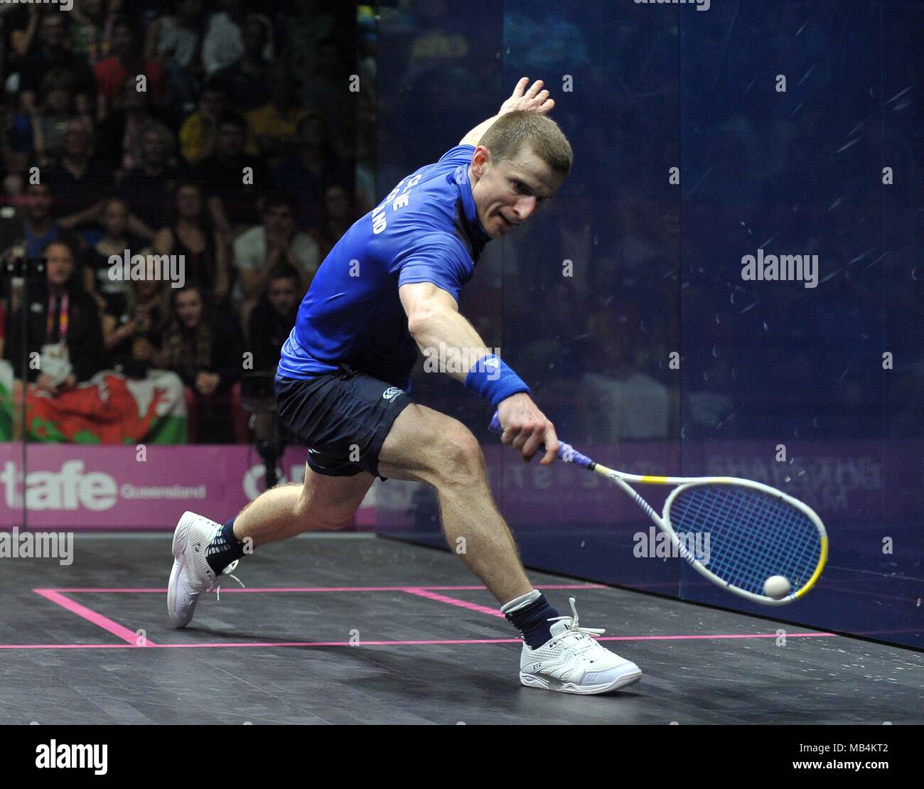 Alan Clyne (SCO). Mens singles quarter finals. Squash. XXI Commonwealth ...