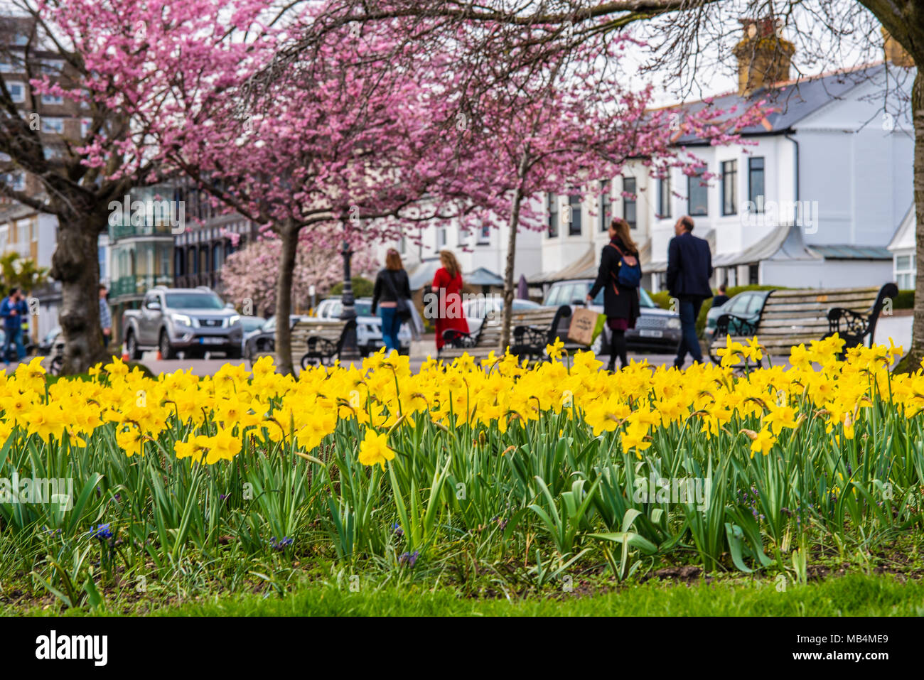 Southend cliff gardens hi-res stock photography and images - Alamy