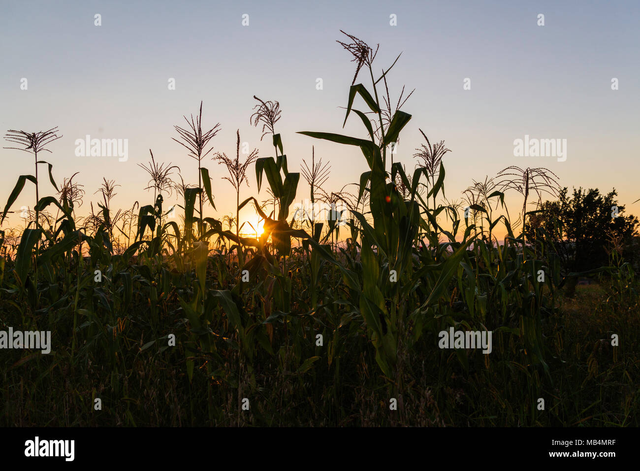 Siebenburgen hi-res stock photography and images - Alamy