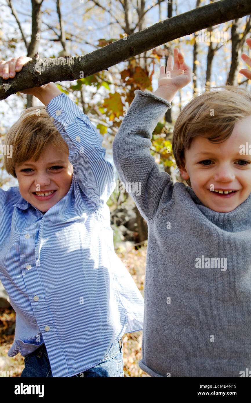 Two Boys Hanging from a Tree Branch Stock Photo - Alamy