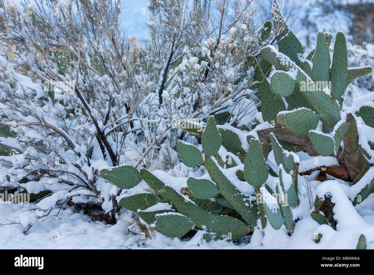 Cold in the desert hi-res stock photography and images - Alamy