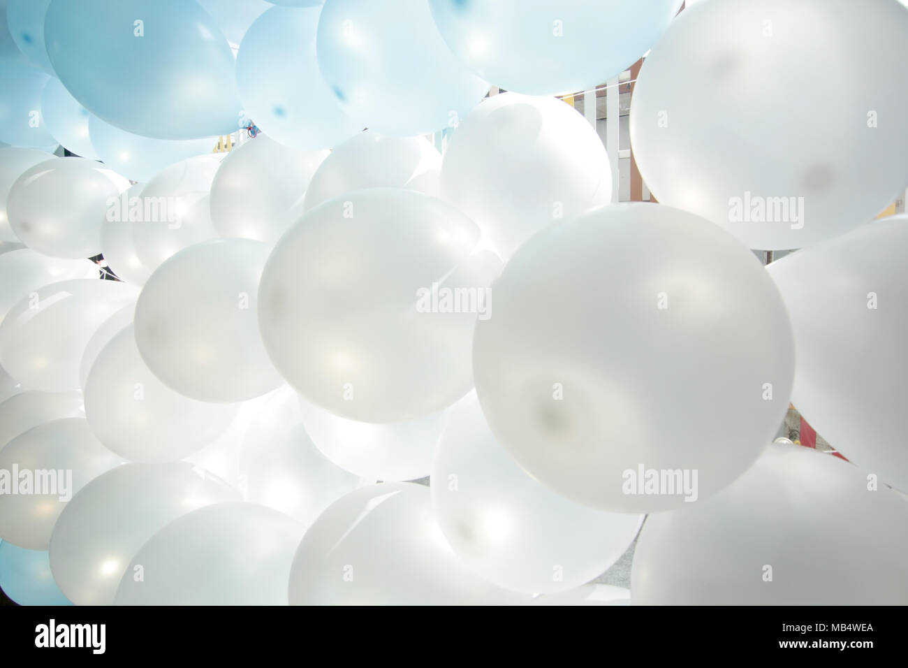 pile of blue and white balloons decorate the place for the celebrate ...