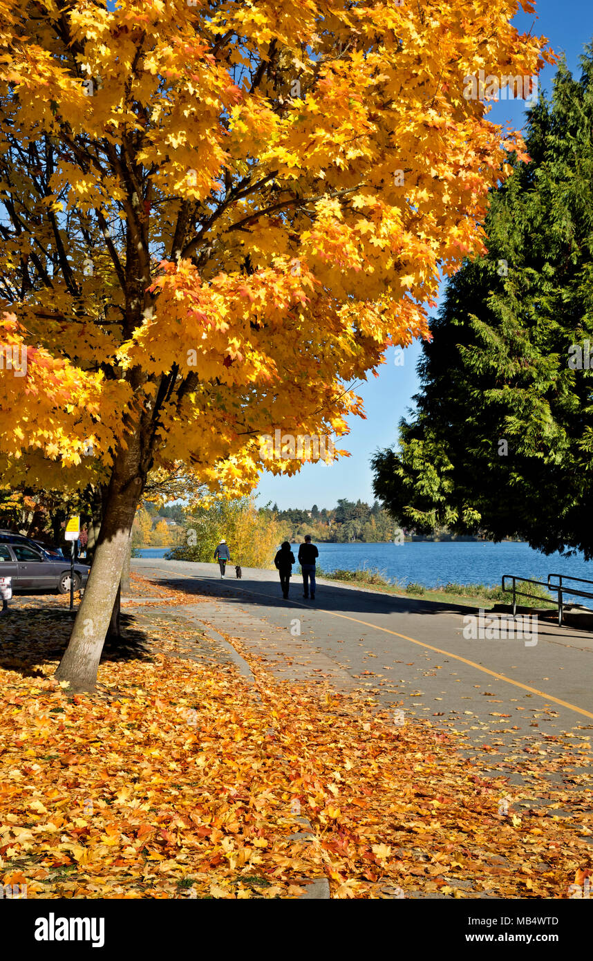 Washington city running hi-res stock photography and images - Alamy