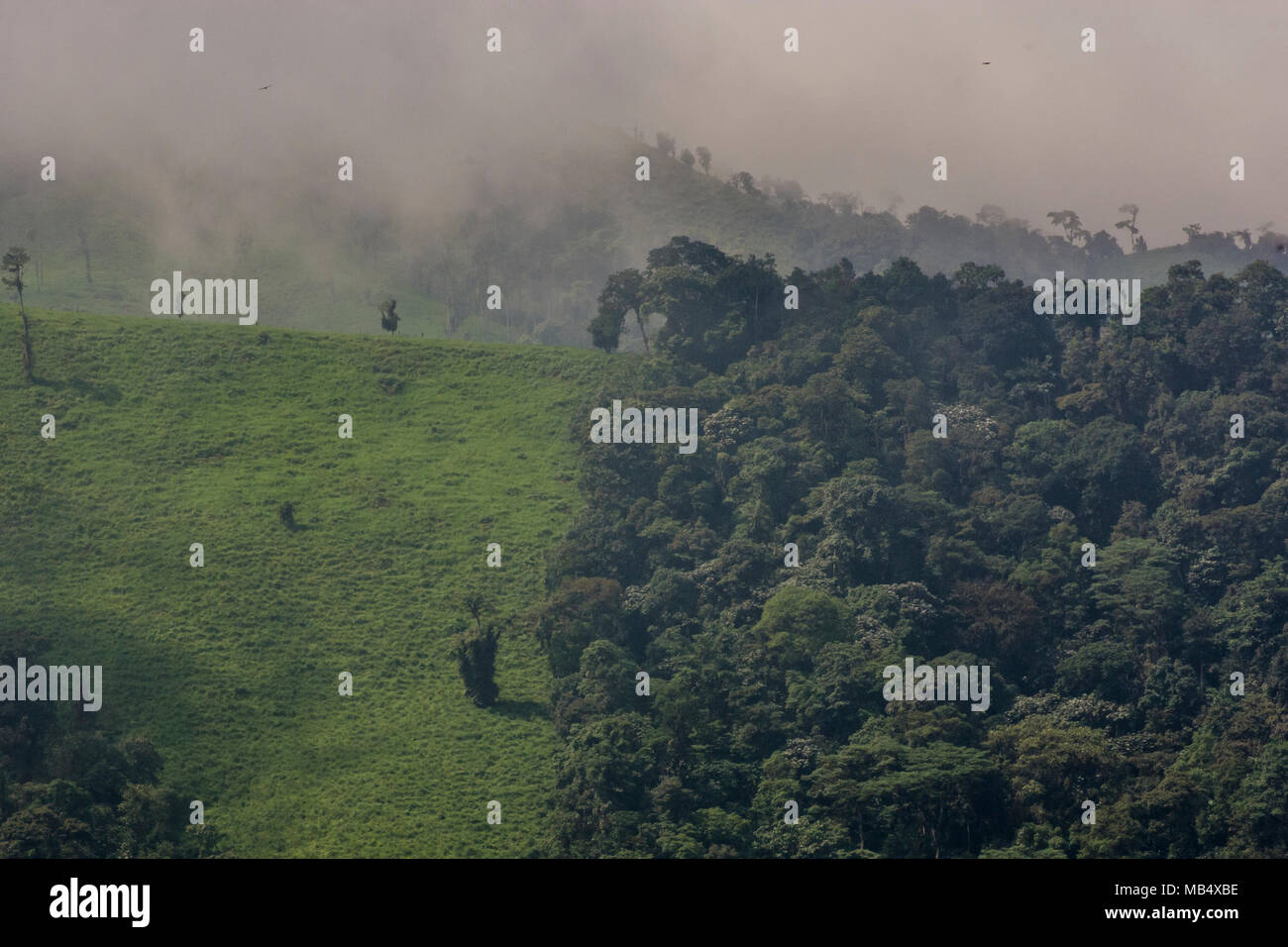 Deforestation forest fragmentation hi-res stock photography and images ...