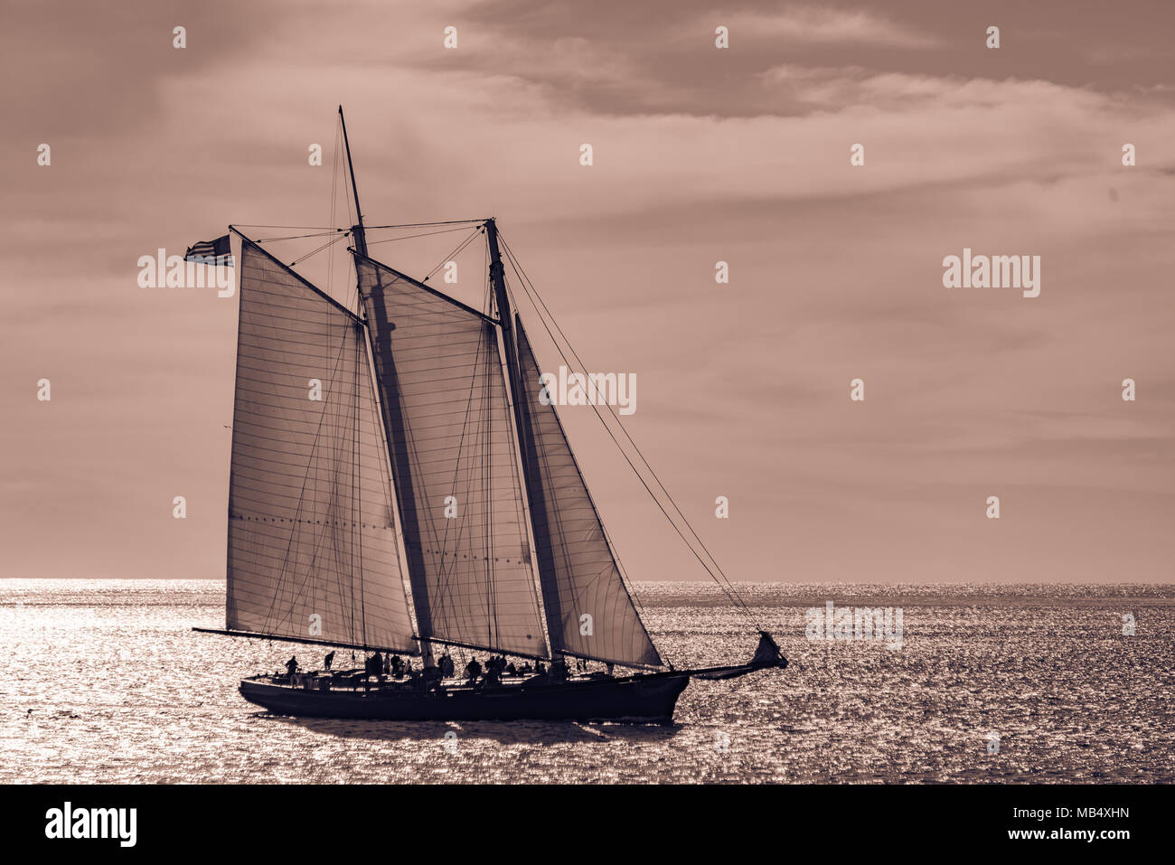 Sailboat under sail on a calm Pacific ocean in evening light with ...