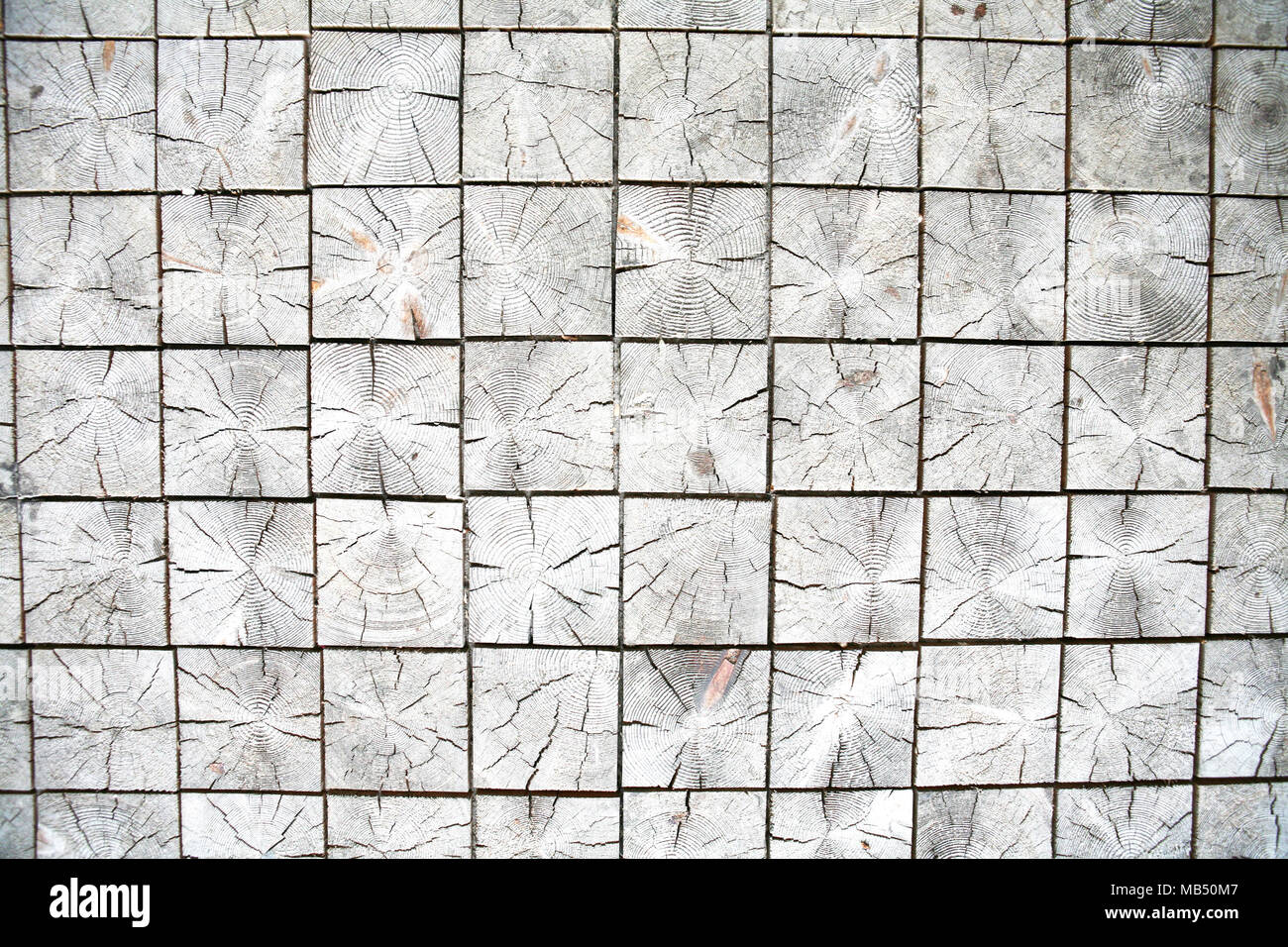 Light grey square wood texture Stock Photo - Alamy