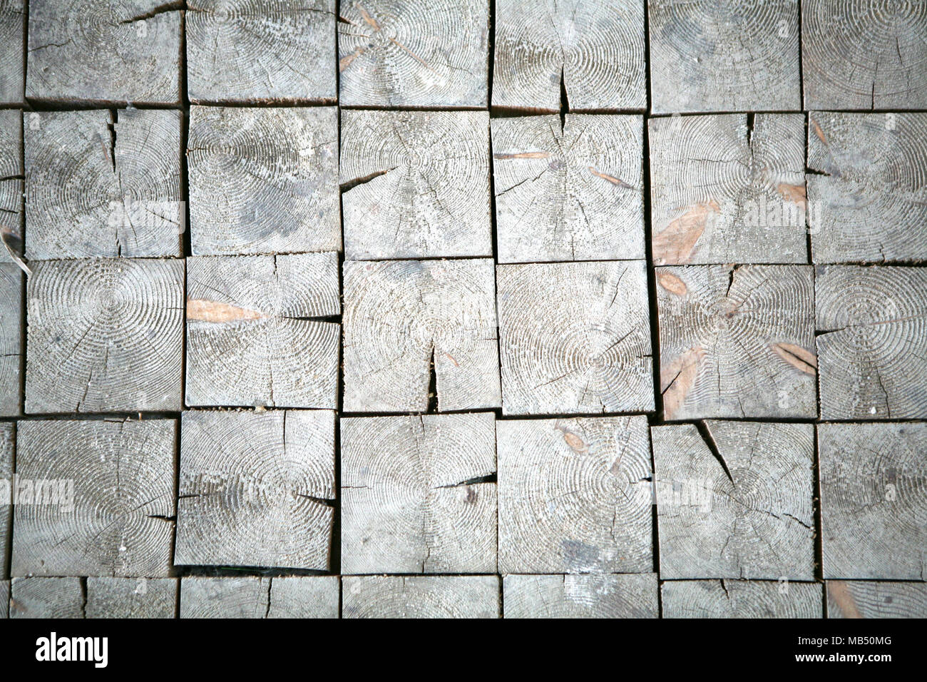 Light grey square wood texture Stock Photo - Alamy