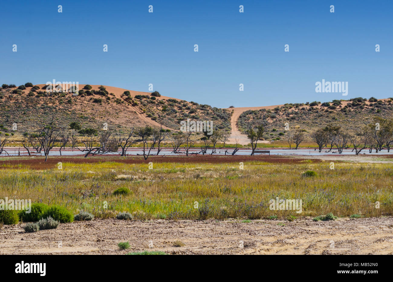 French line route over big red into the simpson desert, birdsville ...
