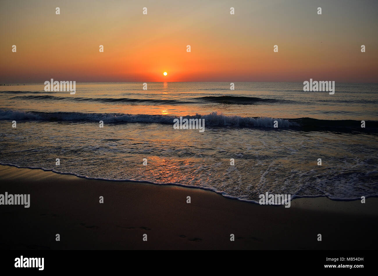 Basic Medical Knowledge High Resolution Stock Photography and Images ...