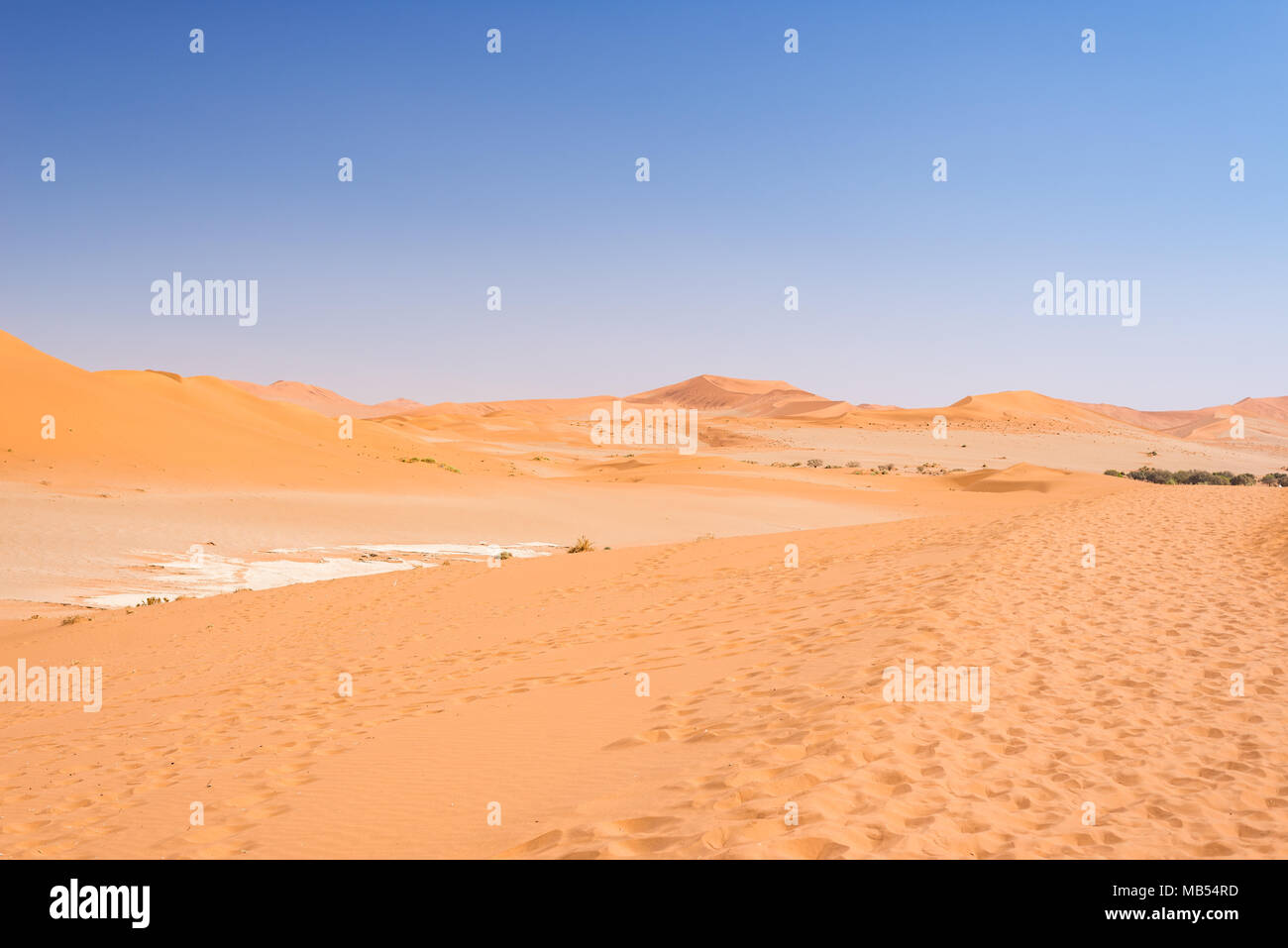 Sand dunes Namib desert, salt flat, roadtrip in the wonderful Namib ...