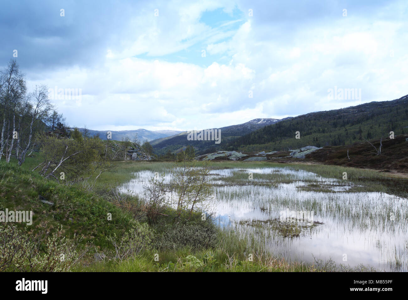 Spring tundra landscape in Hardangervidda national park, Norway Stock ...